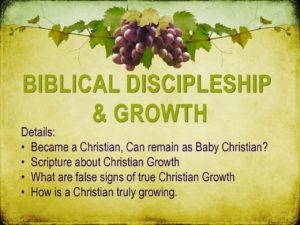 Biblical Discipleship and Growth M13 - Beloved's Church - Fremont, CA